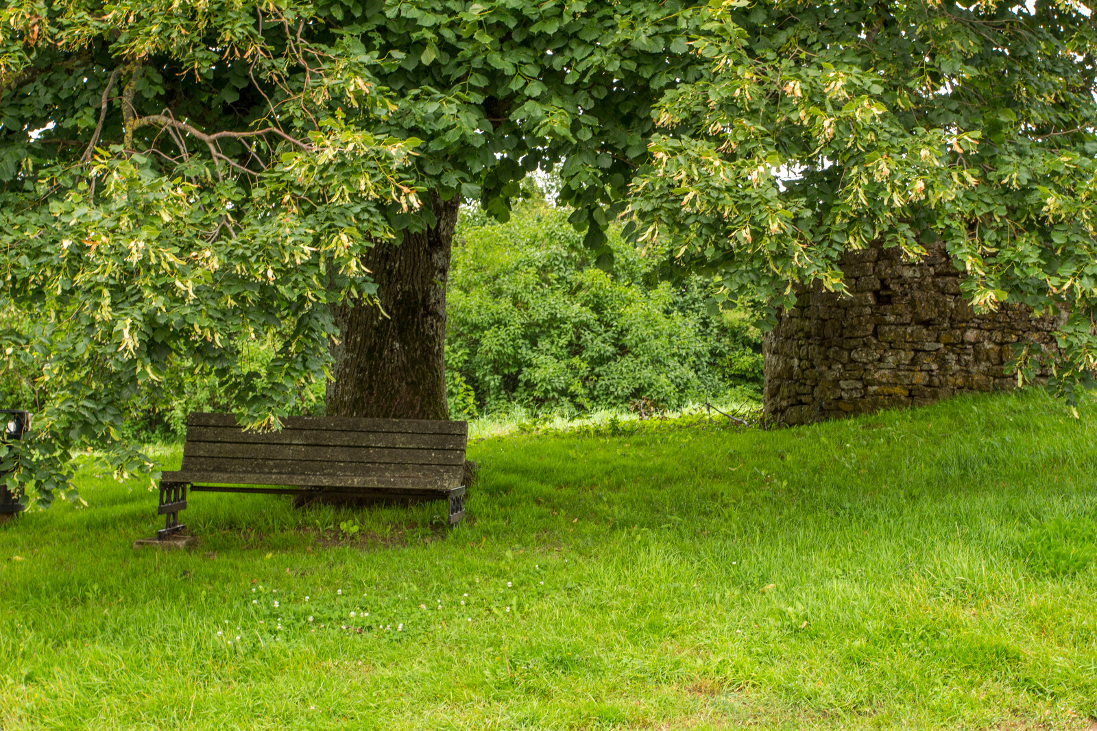 Ardenne Good Life : des jardins thérapeutiques pour le bien-être et l ...